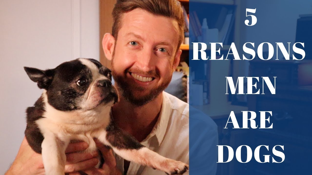 5 Reasons Men Are Dogs (And How It Helps You Understand Them!) - YouTube
