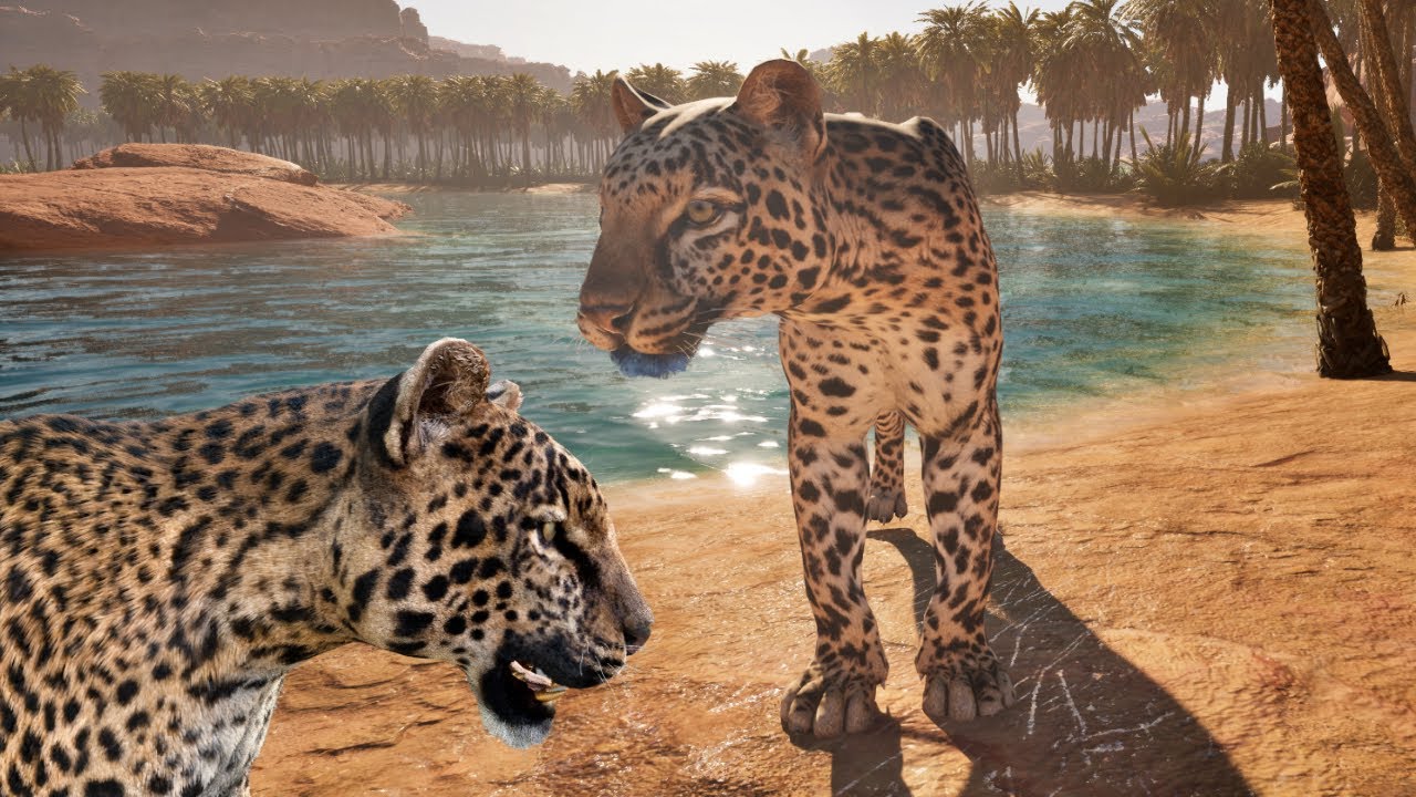 Primal Earth New Update - Leopard Gameplay - YouTube
