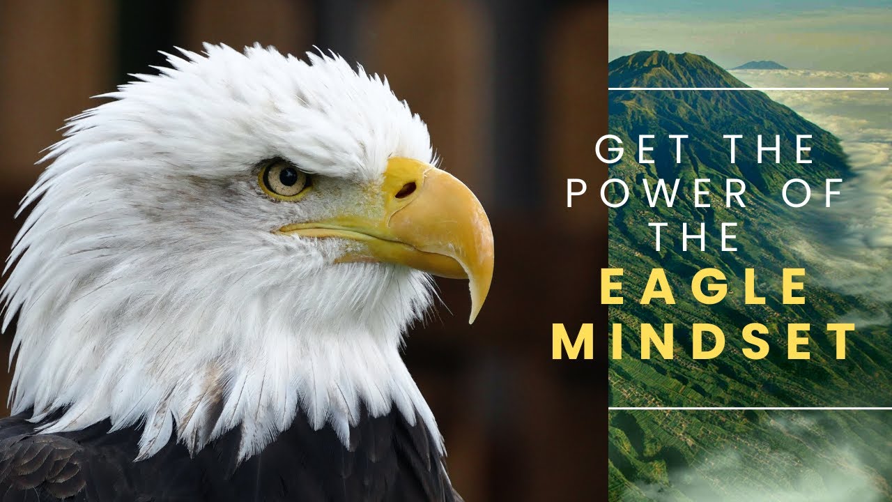 Get the Power Of the Eagle Mindset - Best Motivational Video | Kings of ...