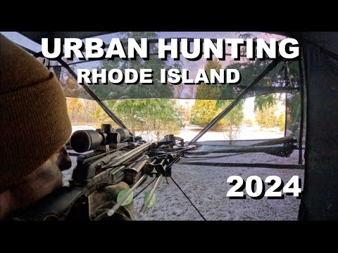 Deer Harvest With Crossbow ... Hunting Whitetail Deer In Rhode Island ...