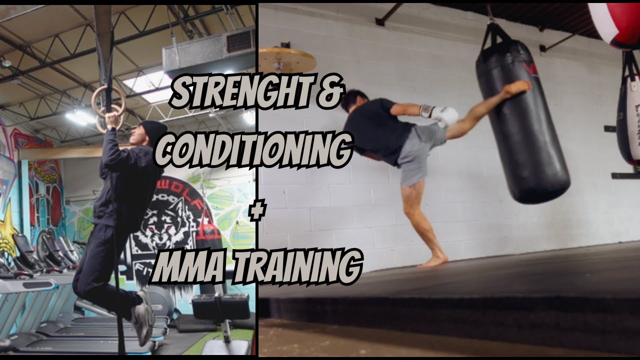 Vlog 33 - Strength & Conditioning | MMA Training - YouTube