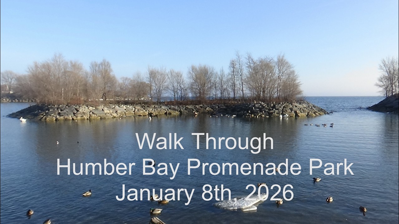 Sunny Winter Walk: Humber Bay Promenade Park to Humber Bay Park West ...