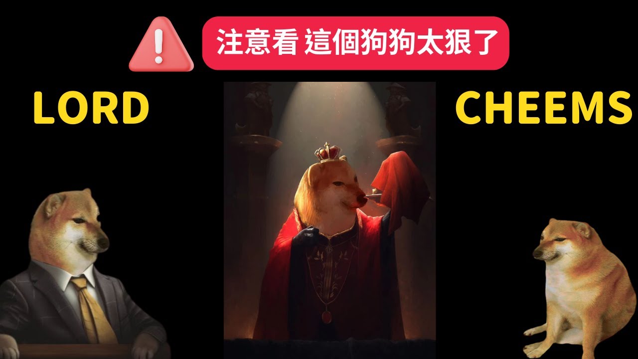 zkSync上最強最格局的 Meme Coin $Cheems！Love Cheems - YouTube