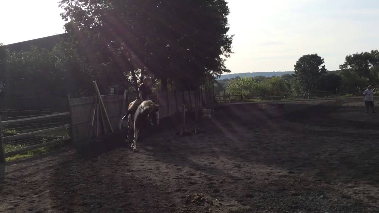 Cando Farm - YouTube