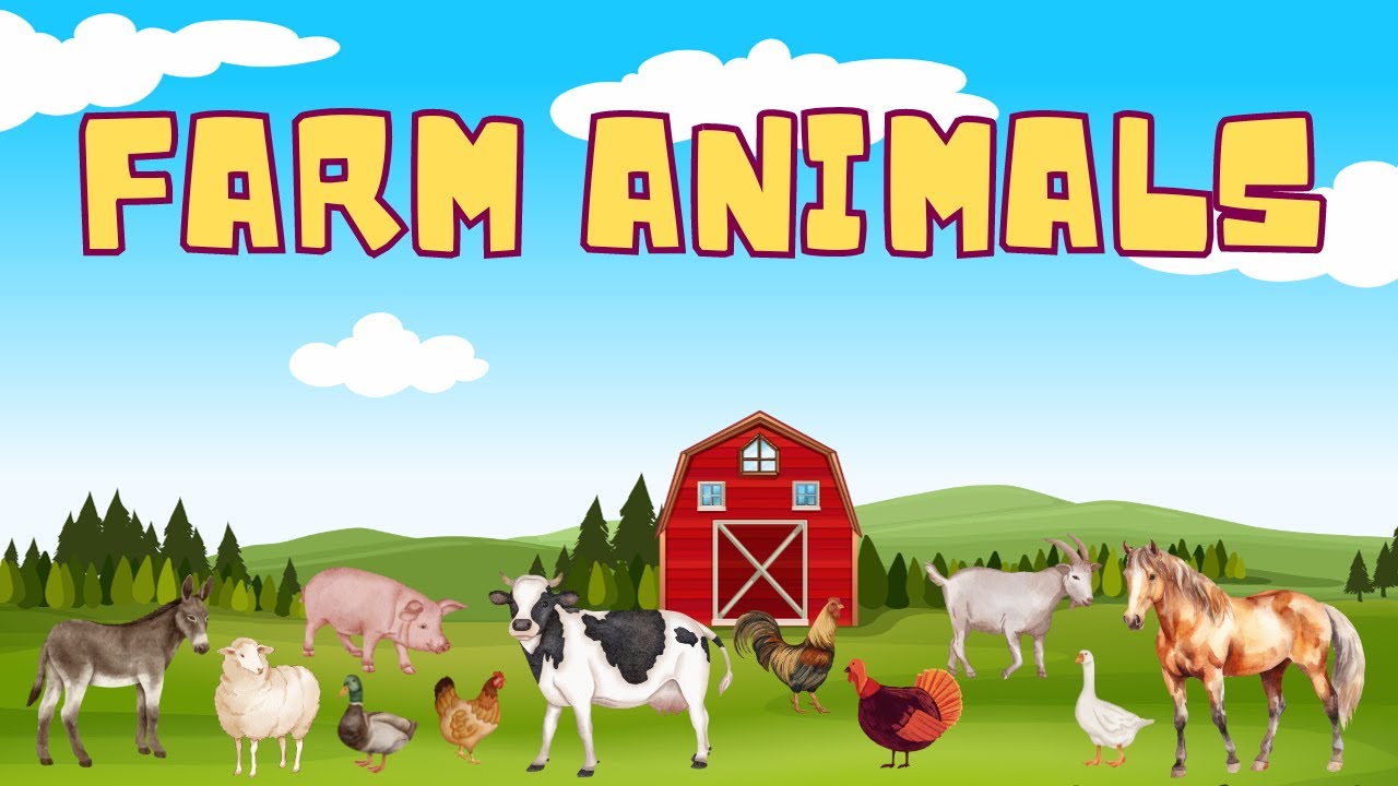 FARM ANIMALS - EDUCATIONAL VIDEO FOR CHILDREN - YouTube