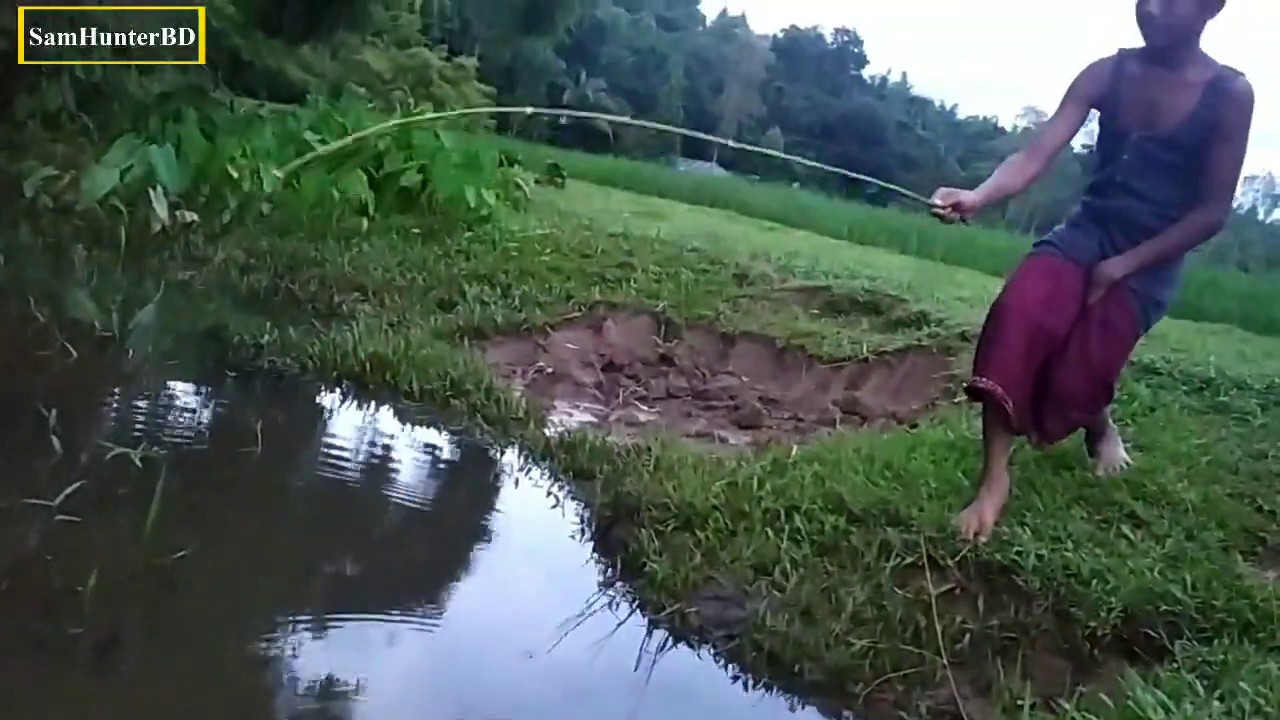 বাইন মাছের টোপ | Ele Fish Hunting Tips - YouTube