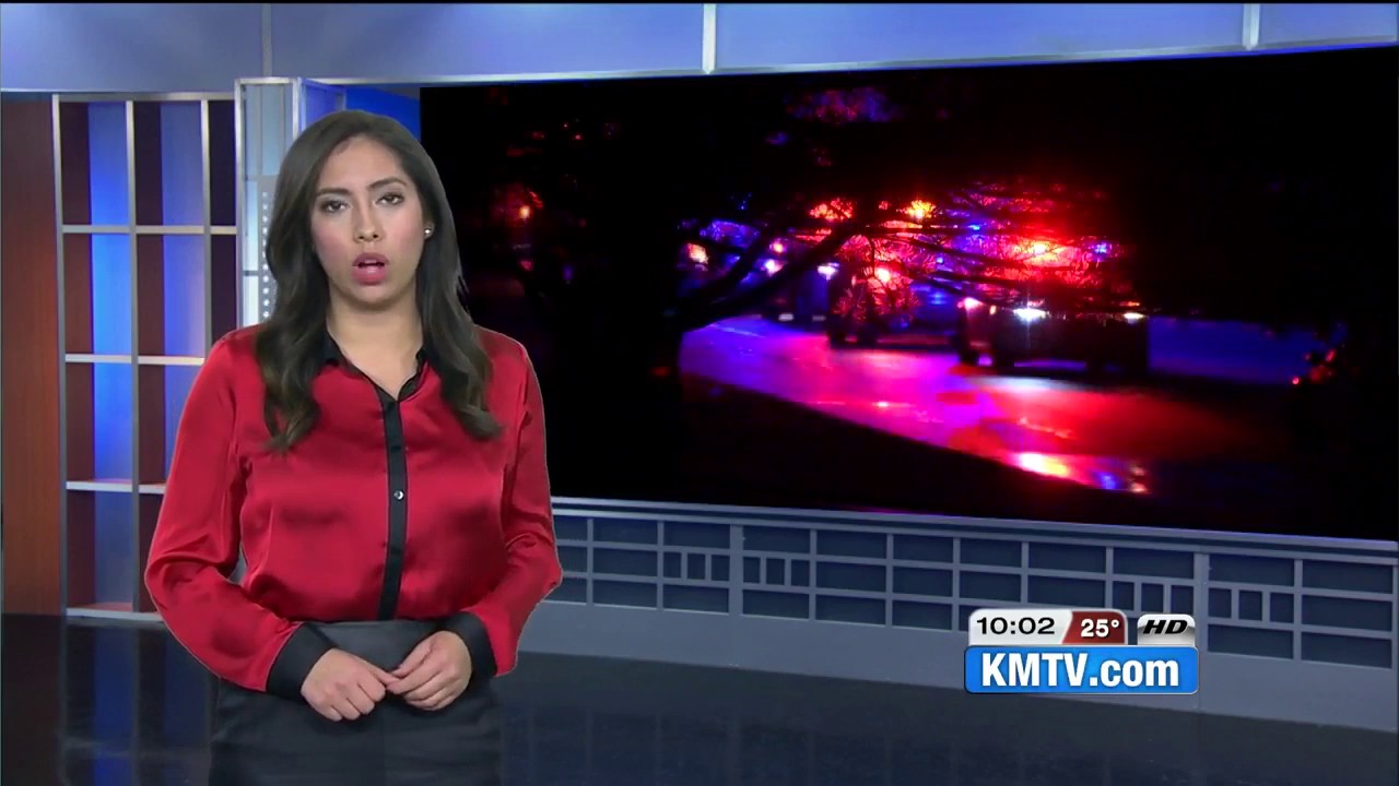 Maya Saenz - YouTube