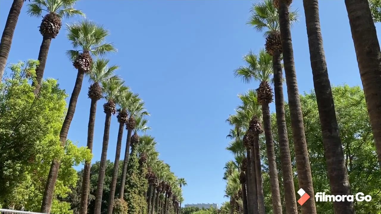 Cyta Park Nicosia - YouTube