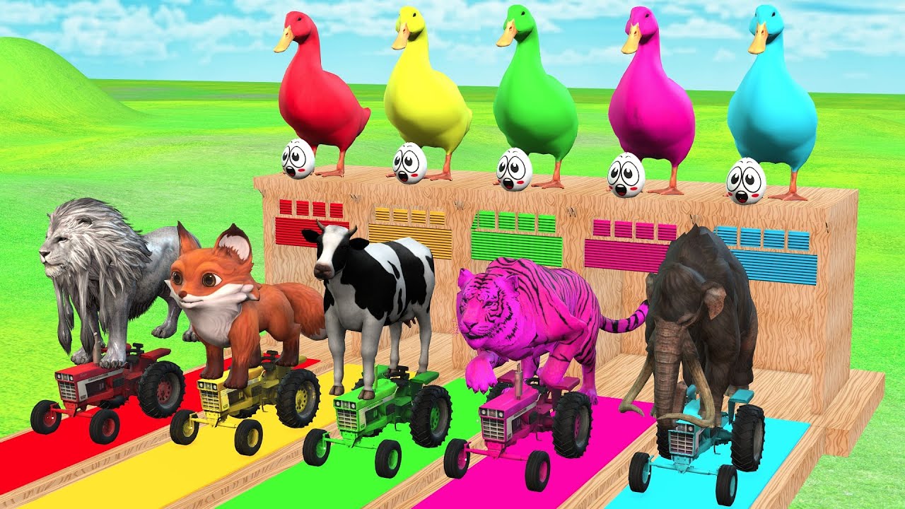 5 Giant Duck Cartoon,Tiger,Cow,Zebra,Kangaroo,Dog,Cat Wild Animals ...