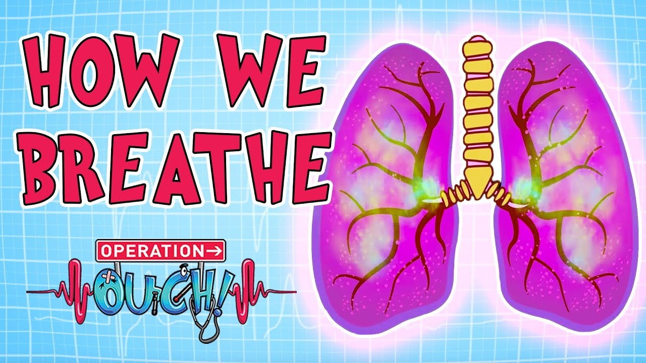 Operation Ouch - Breathing | Amazing Body Facts for Kids - YouTube