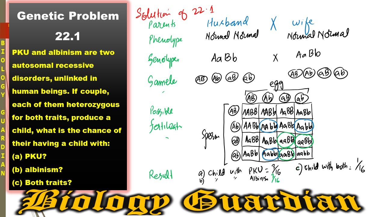 Genetic Problem # 22.1, Ch-22 Inheritance | NBF/Federal Biology-12 ...