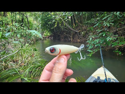 QUEIMEI MINHA LÍNGUA! NUNCA SUBESTIME UMA ISCA ANTES DE USAR... Pescaria.
