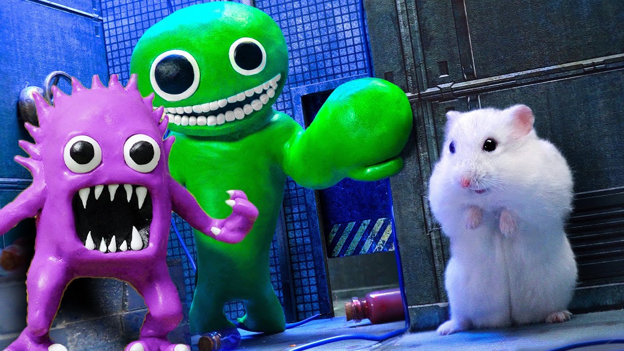 Hamster Adventures: All Challenges For Hamster In Real Life | Hamster ...