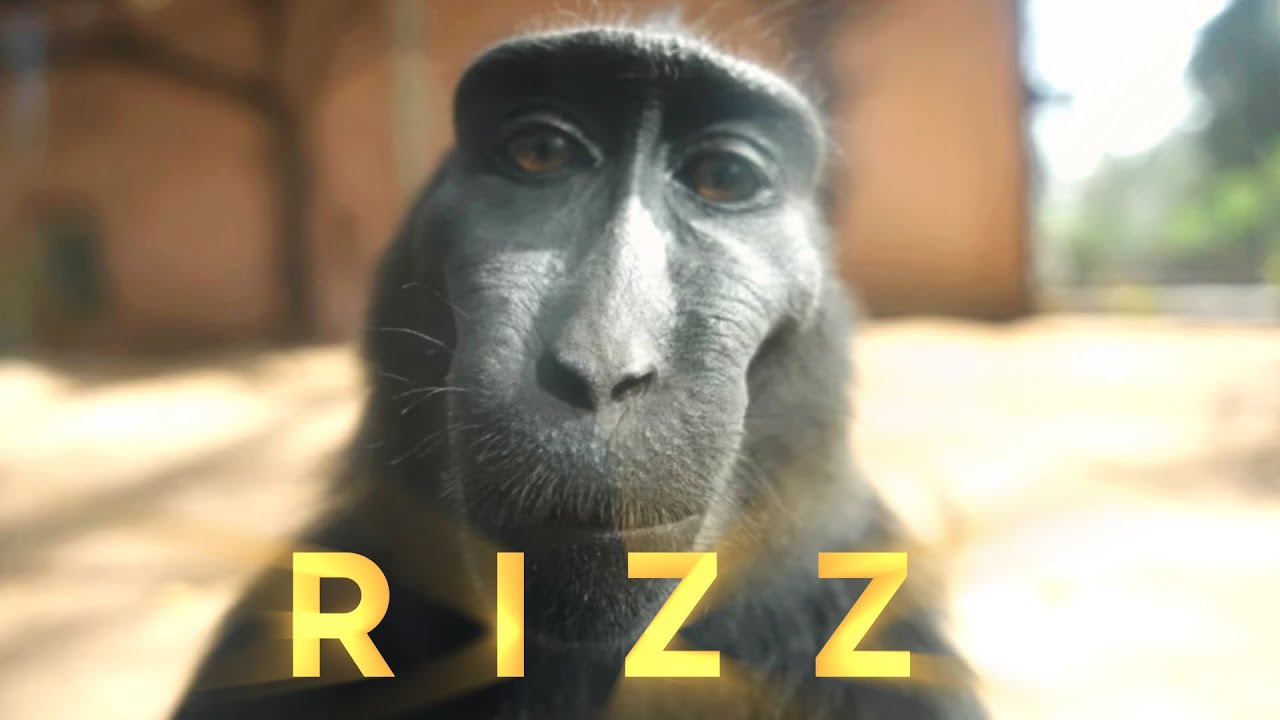 monke rizz - YouTube