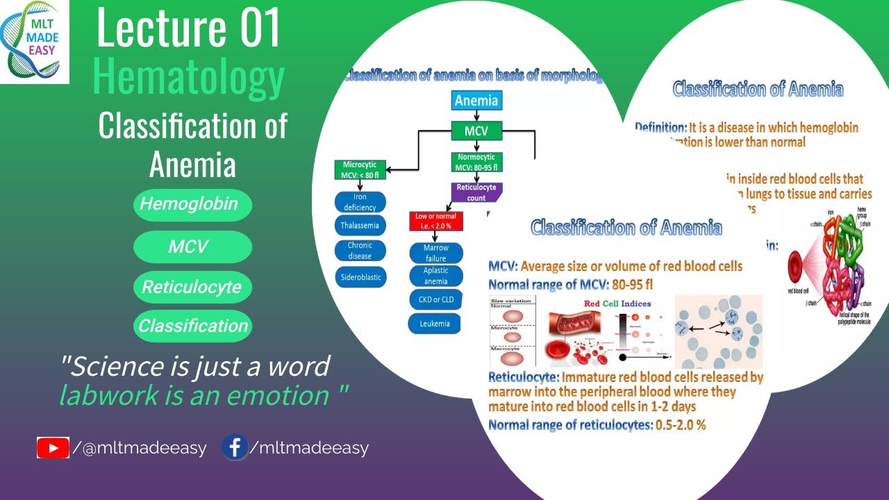 Types of Anemia Explained | Classification of Anemia - YouTube