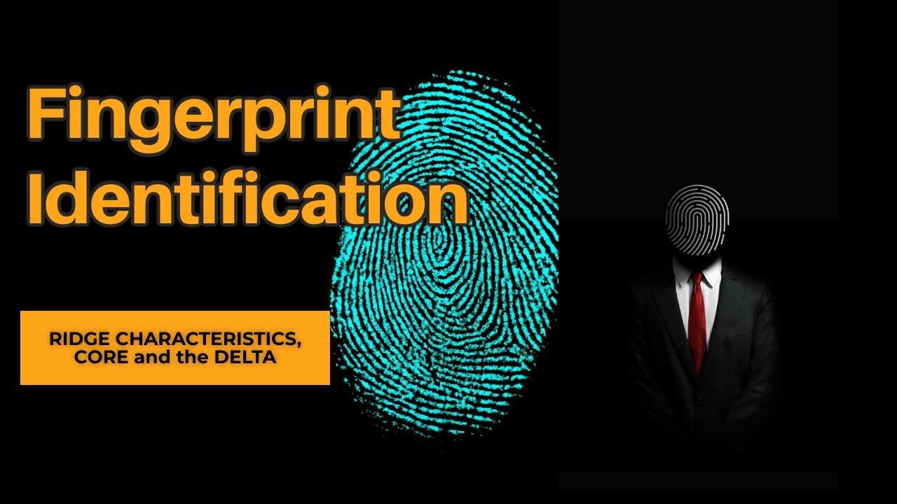 Fingerprint Identification Personal Identification Techniques YouTube Fingerprint Identification Personal Identification Techniques YouTube