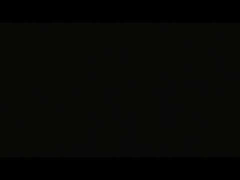 Neighborhood Animals (2004) [60fps]