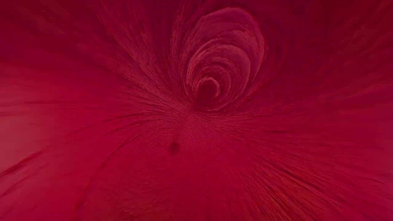 Duke Boara – Jungle (Official video) - YouTube Music