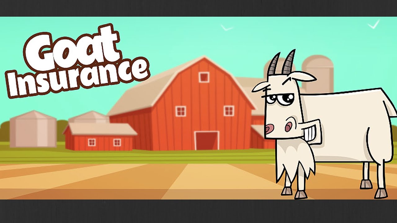 Protect Yourself With Goat Insurance! - YouTube