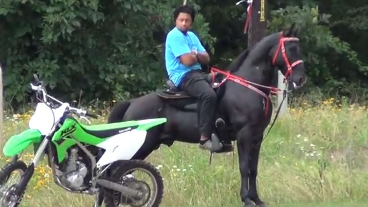 Annual Memorial Horseback Trail Ride and Show for "B'LO" - YouTube