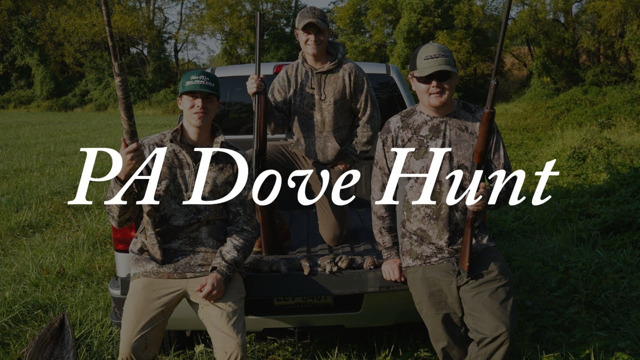 Hunting Doves in a PA Cornfield. So Many Shots Fired! - YouTube