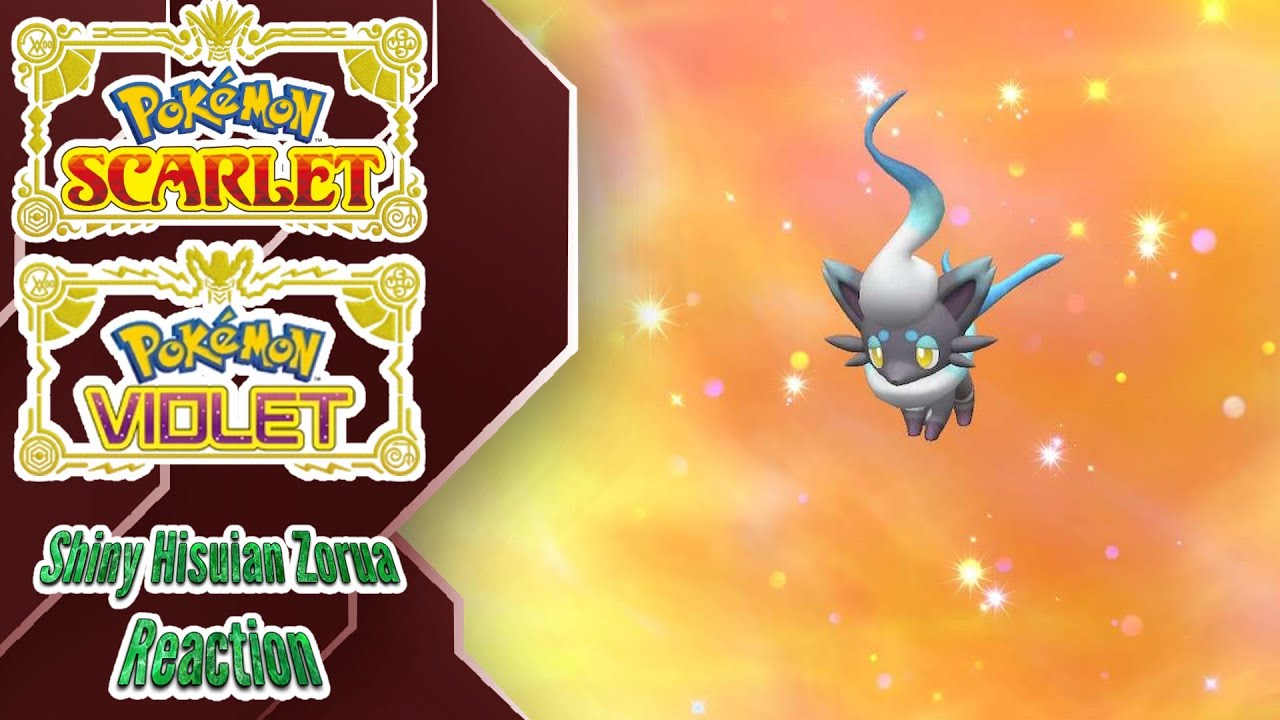 Shiny Hisuian Zorua + Evolution! Pokemon Scarlet & Violet! - YouTube
