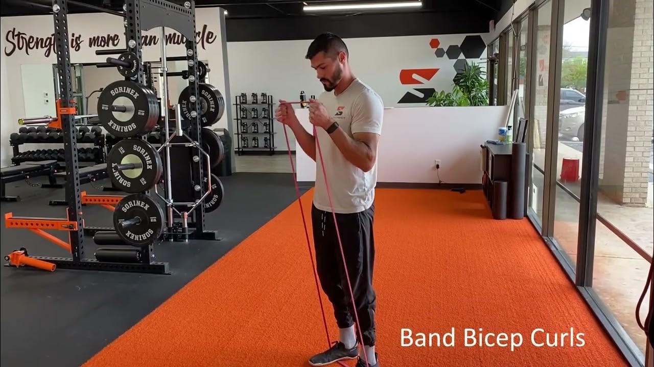 ReadyCoach Demo - Band Bicep Curls - YouTube