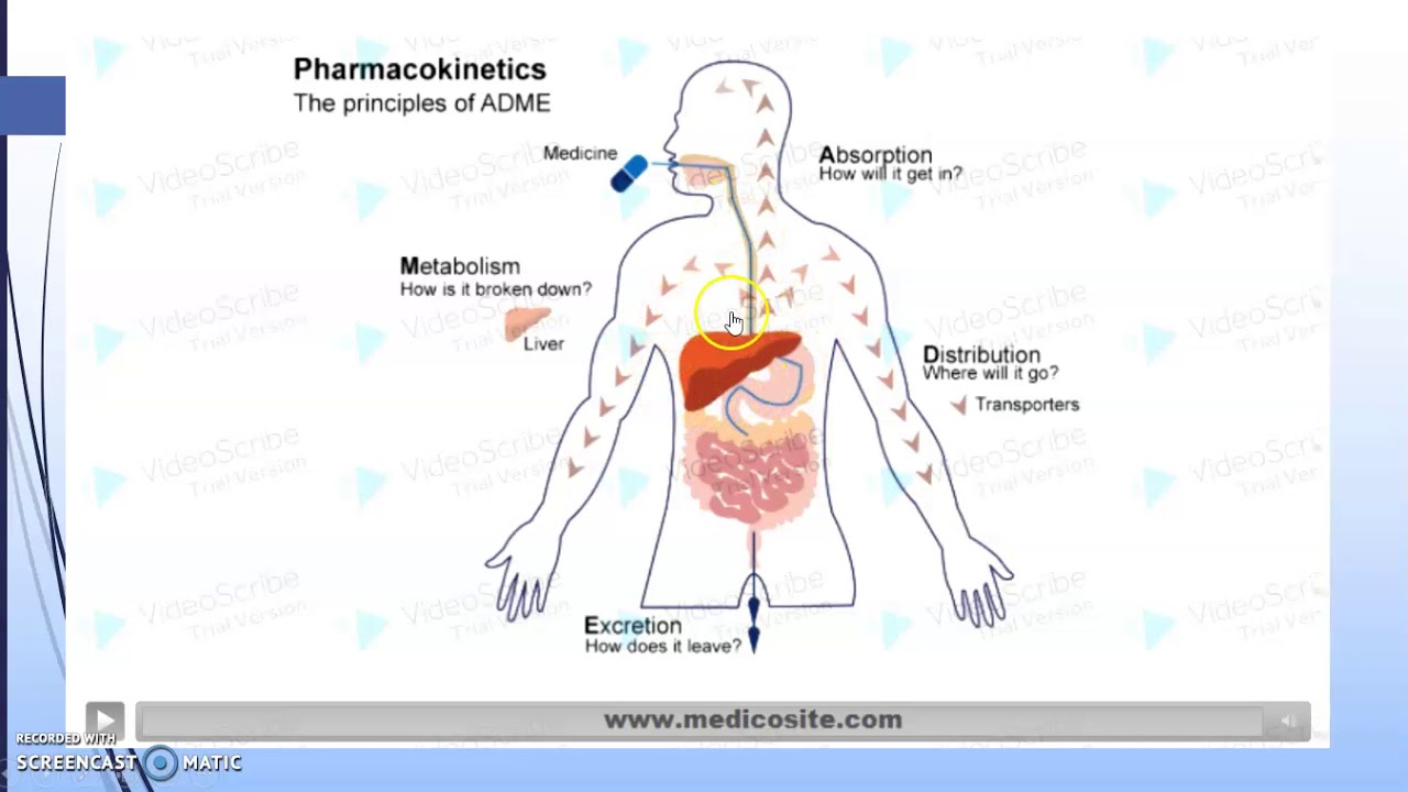 Biopharmaceutics - YouTube