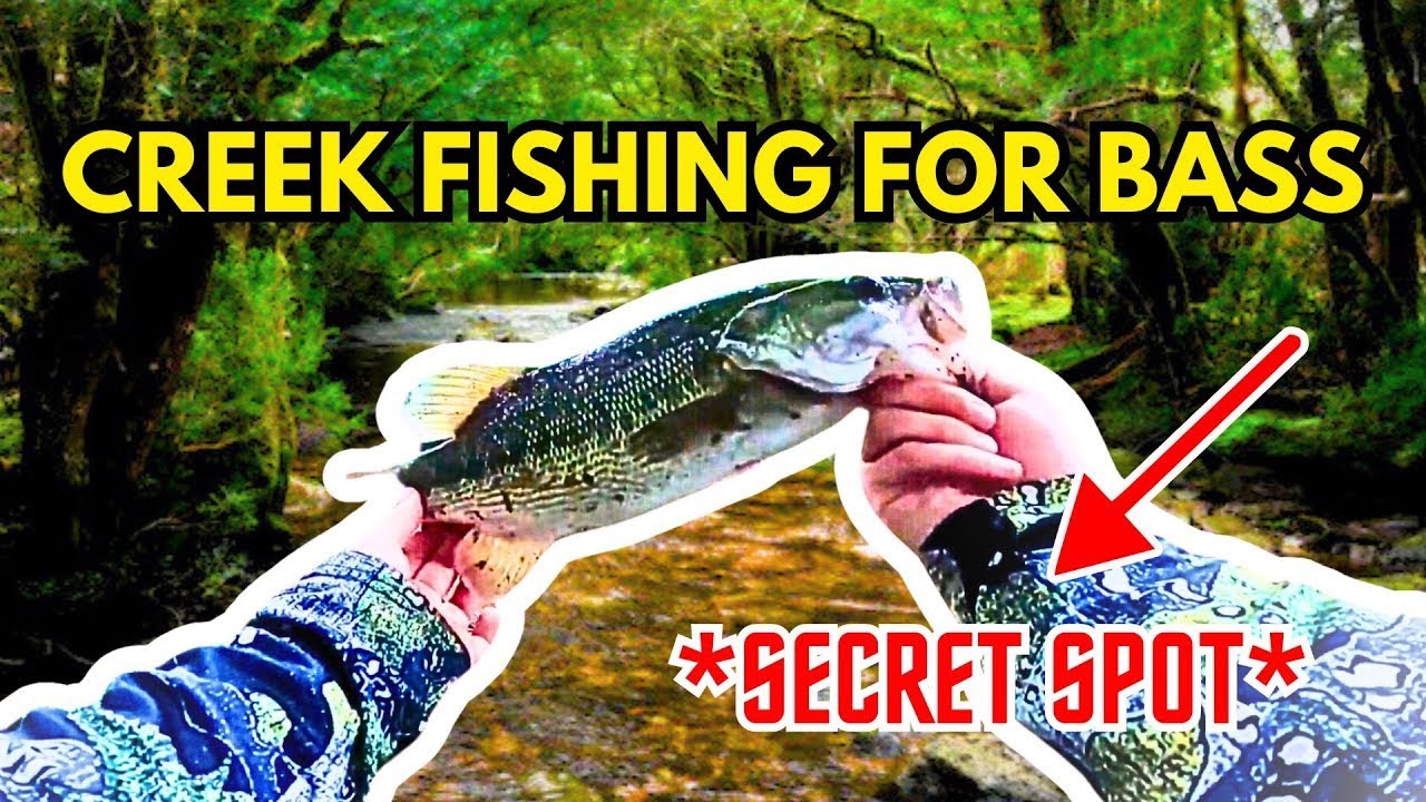 Creek Fishing In an Abandoned Creek! (Crazy Catch) - YouTube