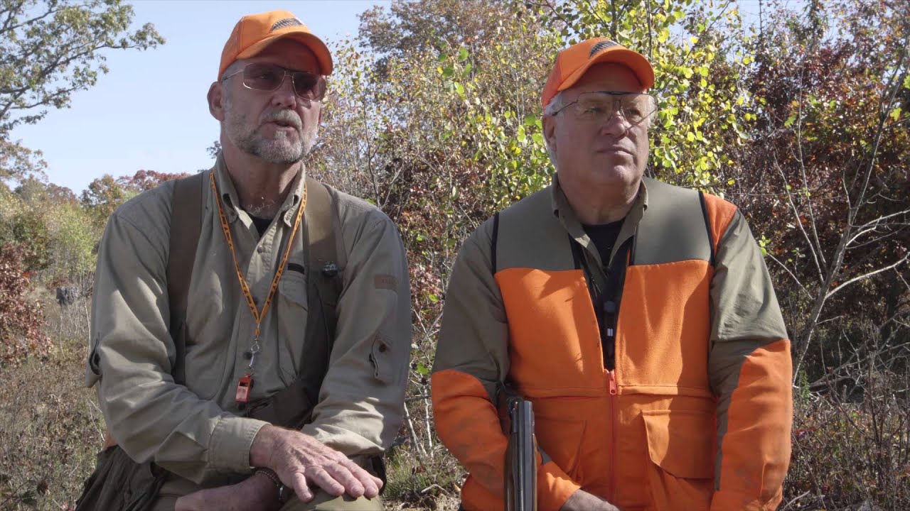 Hunting Woodcock and Grouse in St. Helen | Pure Michigan - YouTube