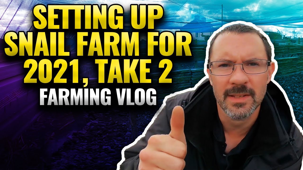 Preparing a Snail Farm For A New Season: Escargot Farming Vlog 🐌🌱 - YouTube