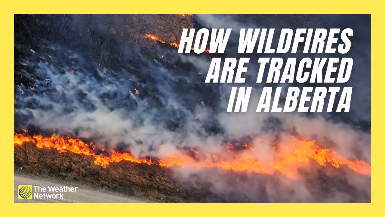 Detect, Track, and Attack: How Wildfire Movements Are Monitored by the ...