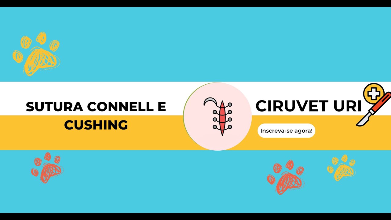 Sutura contínua Connell e Cushing - YouTube