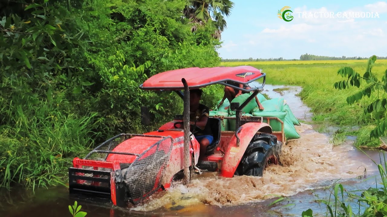 ប្រជាកសិករខ្មែរប្រមូលផលស្រូវក្នុងទឹកជ្រៅ Cambodian Farmer Harvest Rice ...