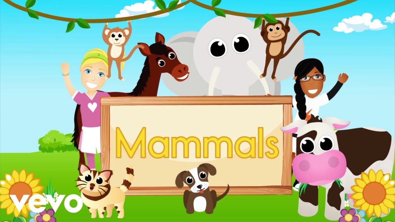 Have Fun Teaching - Animals Song - YouTube