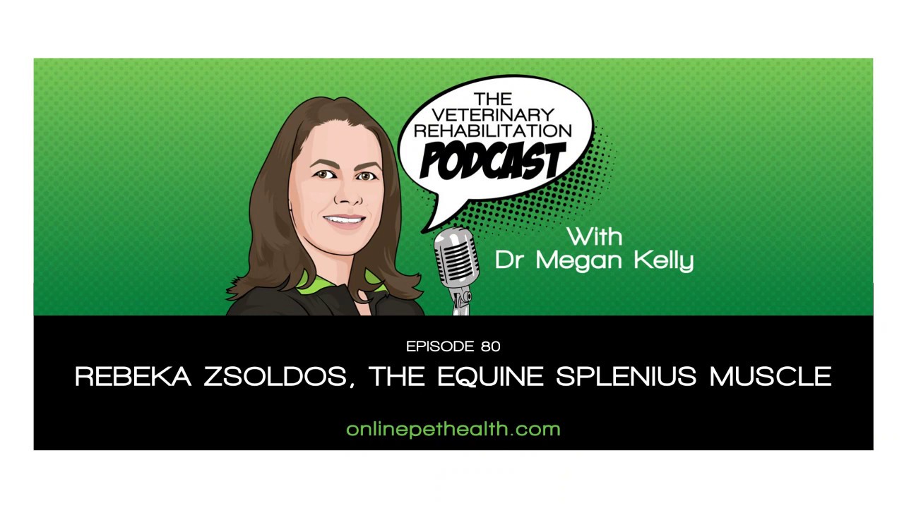 The Equine Splenius Muscle, with Rebeka Zsoldos - YouTube