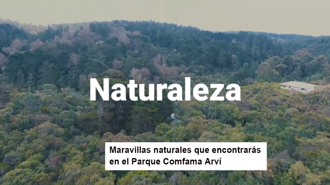 ¿Cómo es el Parque Comfama Arví? - YouTube