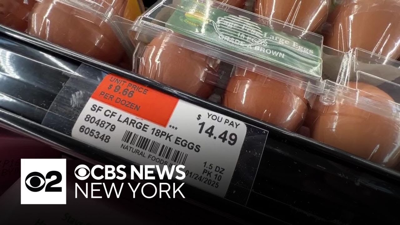 Sticker shock in the supermarket -- in the egg aisle - YouTube