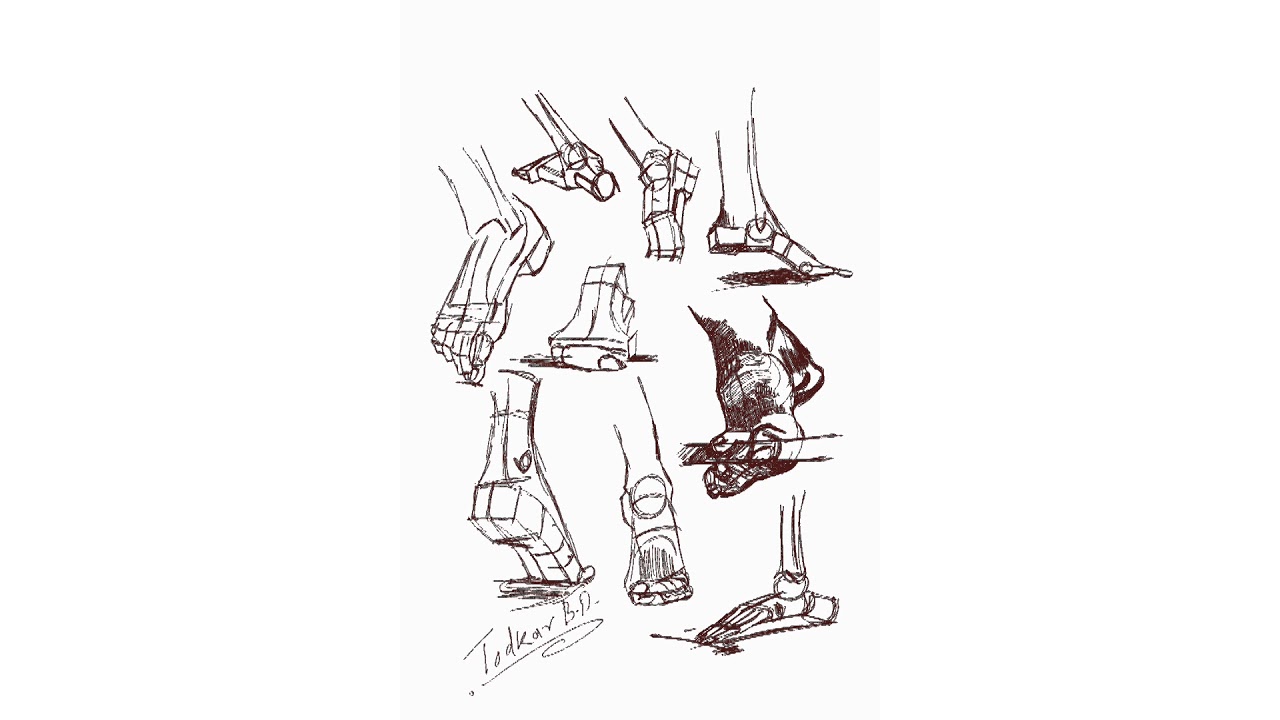 Leg feet drawing 2 | Leg study sketches | Human Anatomy |How to draw ...