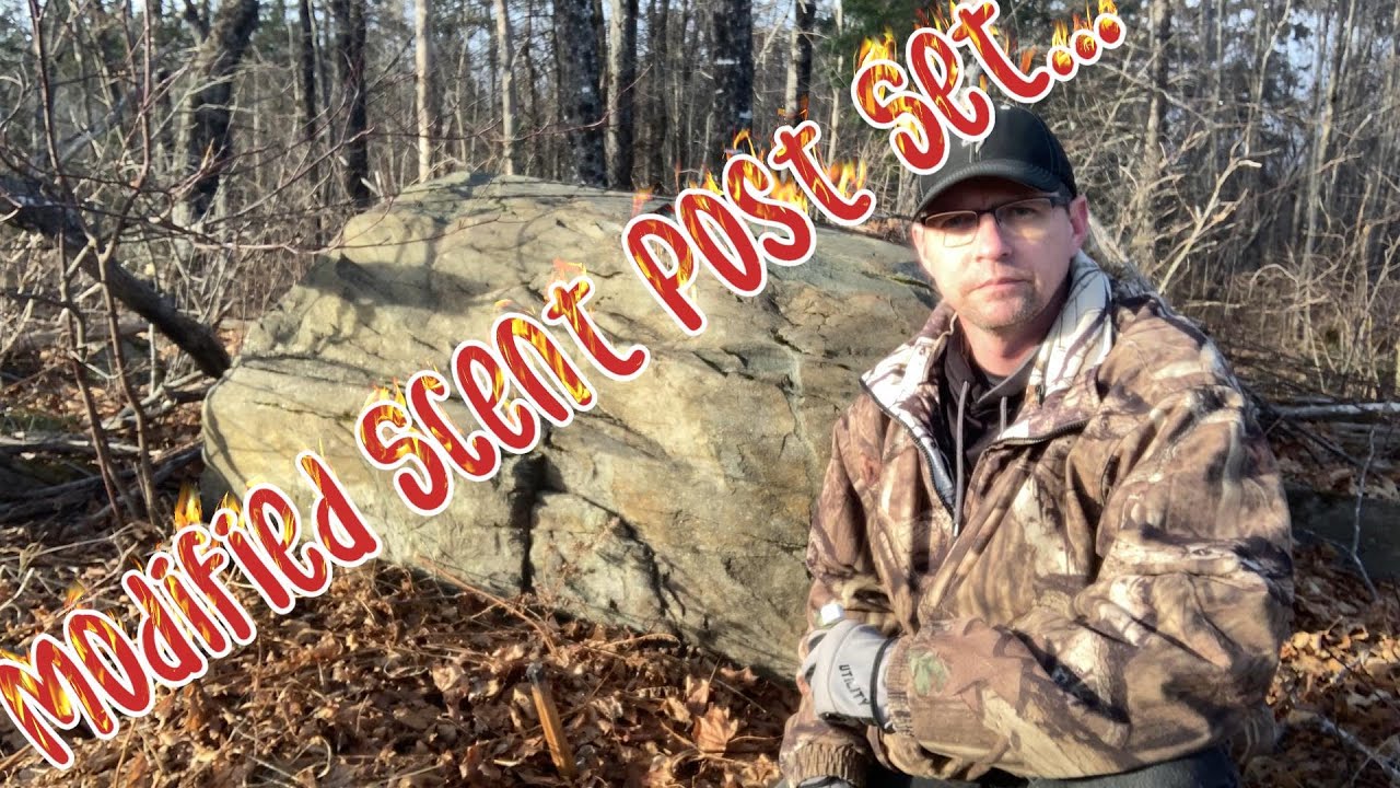 Modified Scent Post Set for Fox and Raccoon - YouTube