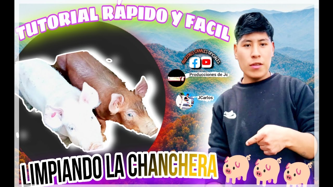 Limpiando La Chanchera 🐖 Rápido y facil 4 Pasos / Jcarlos/Tutorial 2023 ...