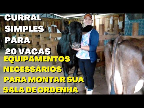 Preço de um Curral Simples e Funcional  para 20 Vacas de Leite,tratador e Ordenha/Sítio Pequeno
