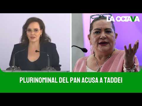 LILLY TÉLLEZ ACUSA DESVÍO de GUADALUPE TADDEI en el INE