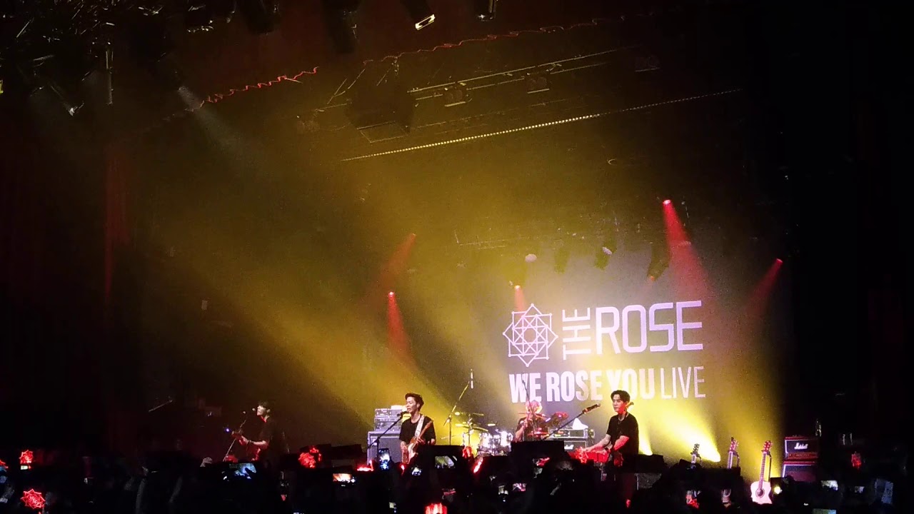 The Rose, We rose you live tour , Paris 2019.11.12 #9 - YouTube