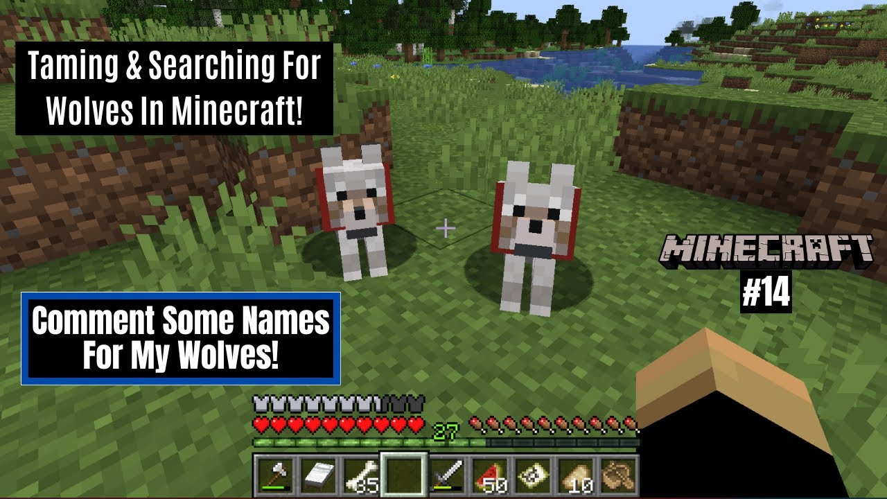 Taming & Searching For Wolves In Minecraft! (#14) - YouTube