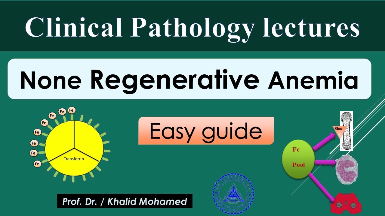 Vet Hematology Lecture 3-2: None Regenerative Anemia - YouTube
