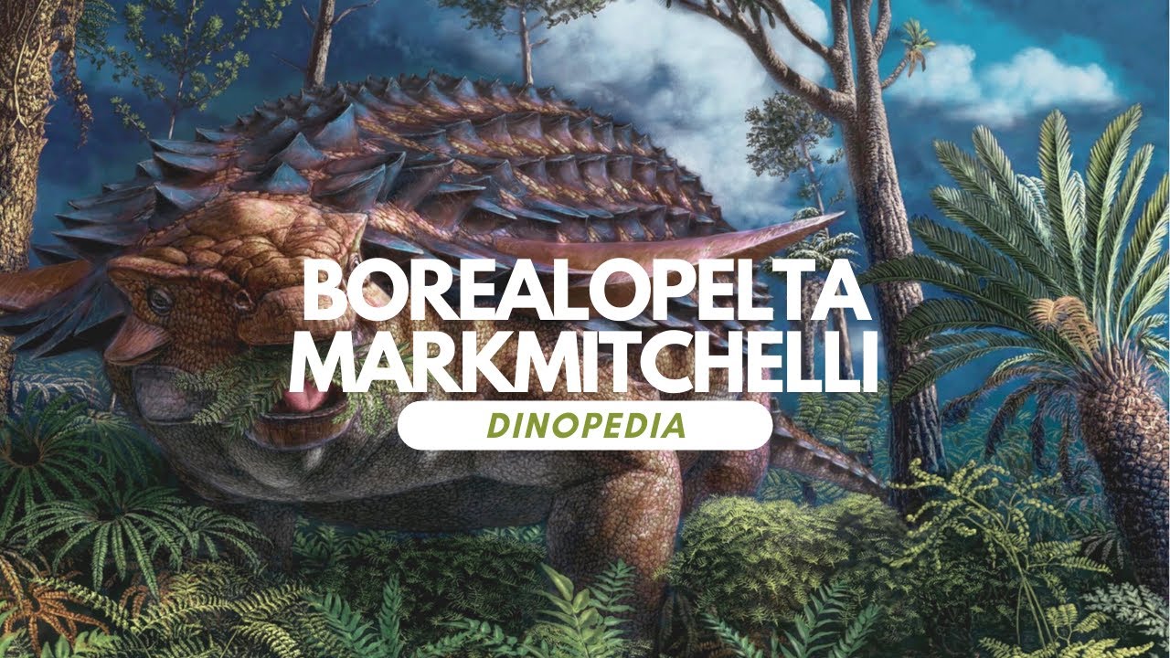 Dinopedia - Borealopelta markmitchelli - YouTube