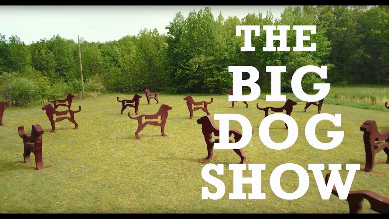 The Big Dog Show - Dale Rogers Studio - YouTube