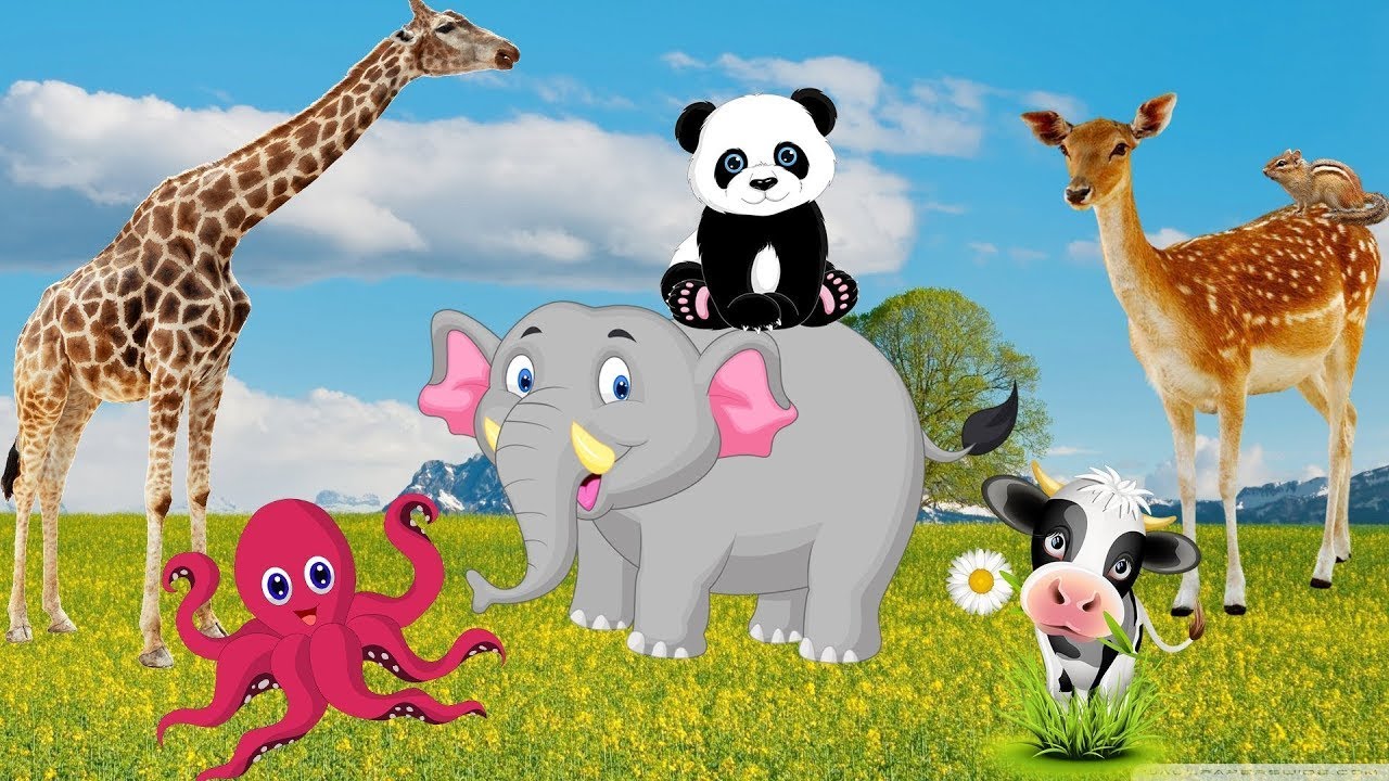 Learn about familiar animals, animal sounds and foods: cows, dogs, cats ...