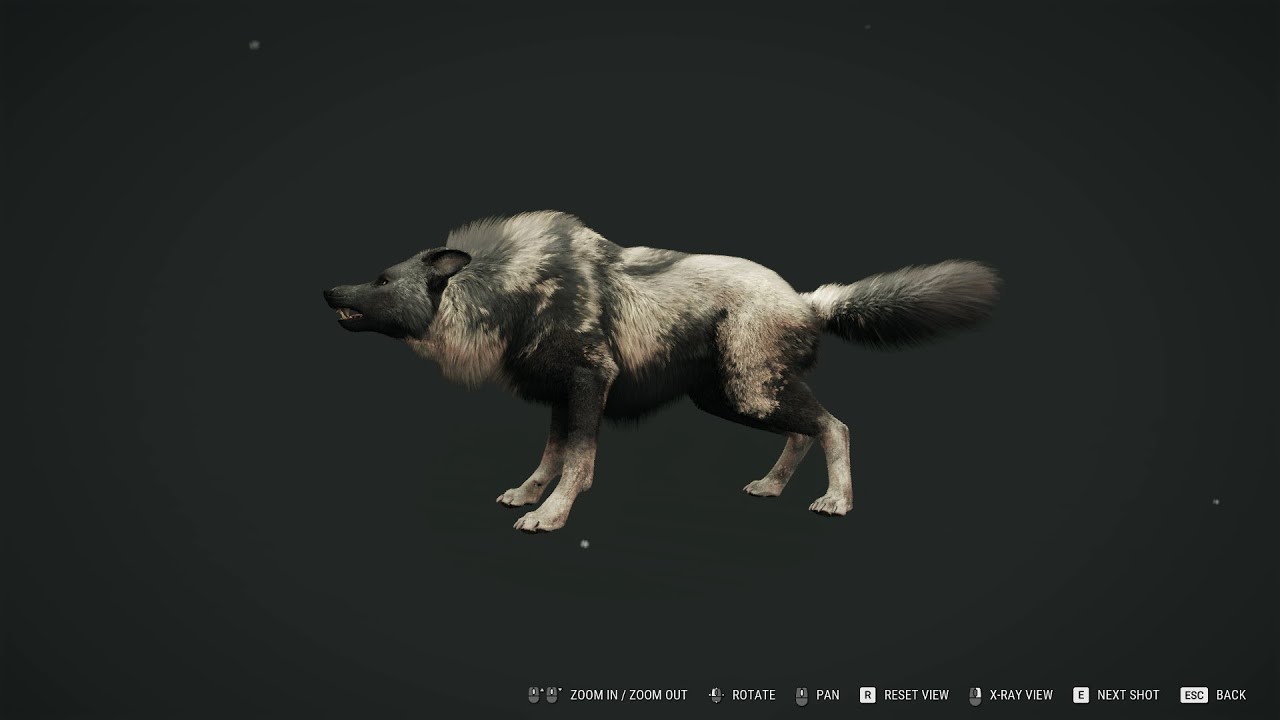 Great One Gray Wolf theHunter Call Of The Wild PC 2025 - YouTube